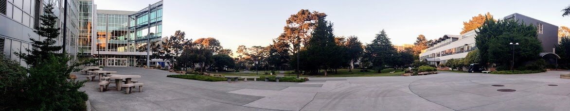 A Trip Down Memory Lane Through SFSU — Sydney Yaeko