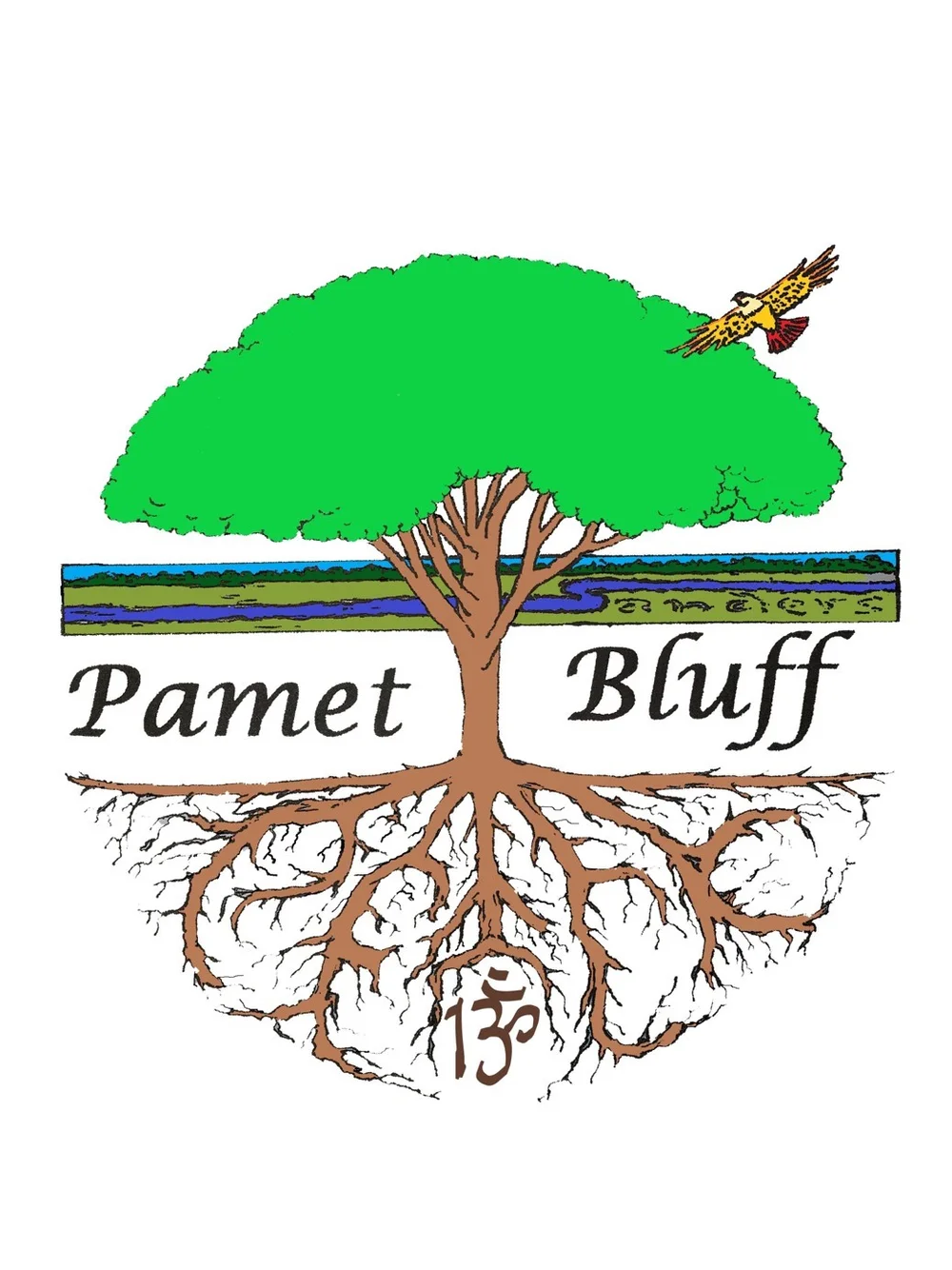 About — Pamet Bluff