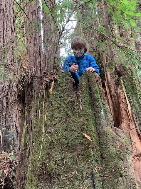 WOLF School's New 2020 Programs Succeeded! | UCCR United Camps ...