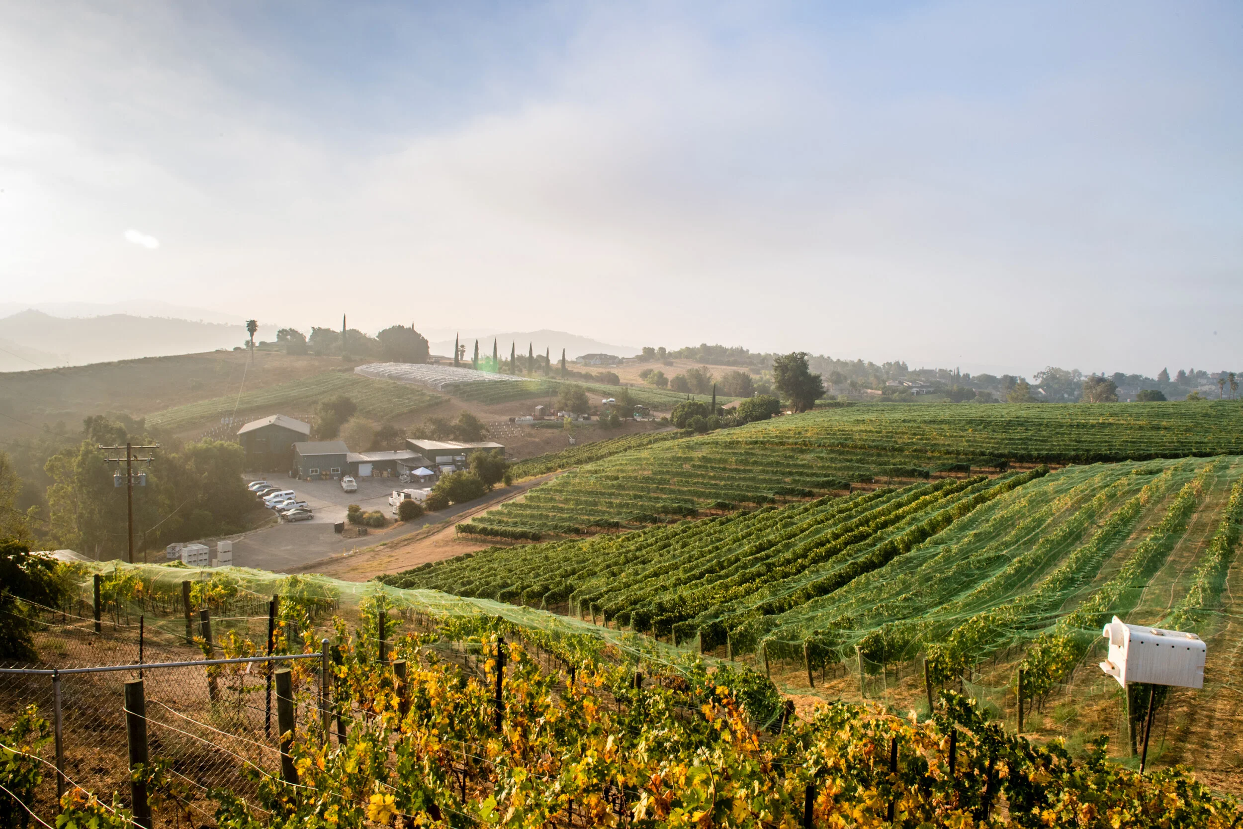 Contact - Fallbrook Winery — Fallbrook Winery