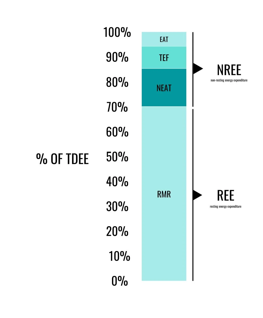 Calories in vs Calories Out, It’s That Simple (or is it?) — Black Iron ...