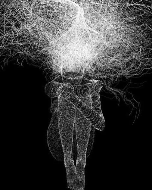 ANILAH - Music for consciousness expansion