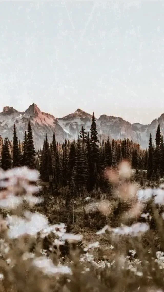 ANILAH - Music is medicine.