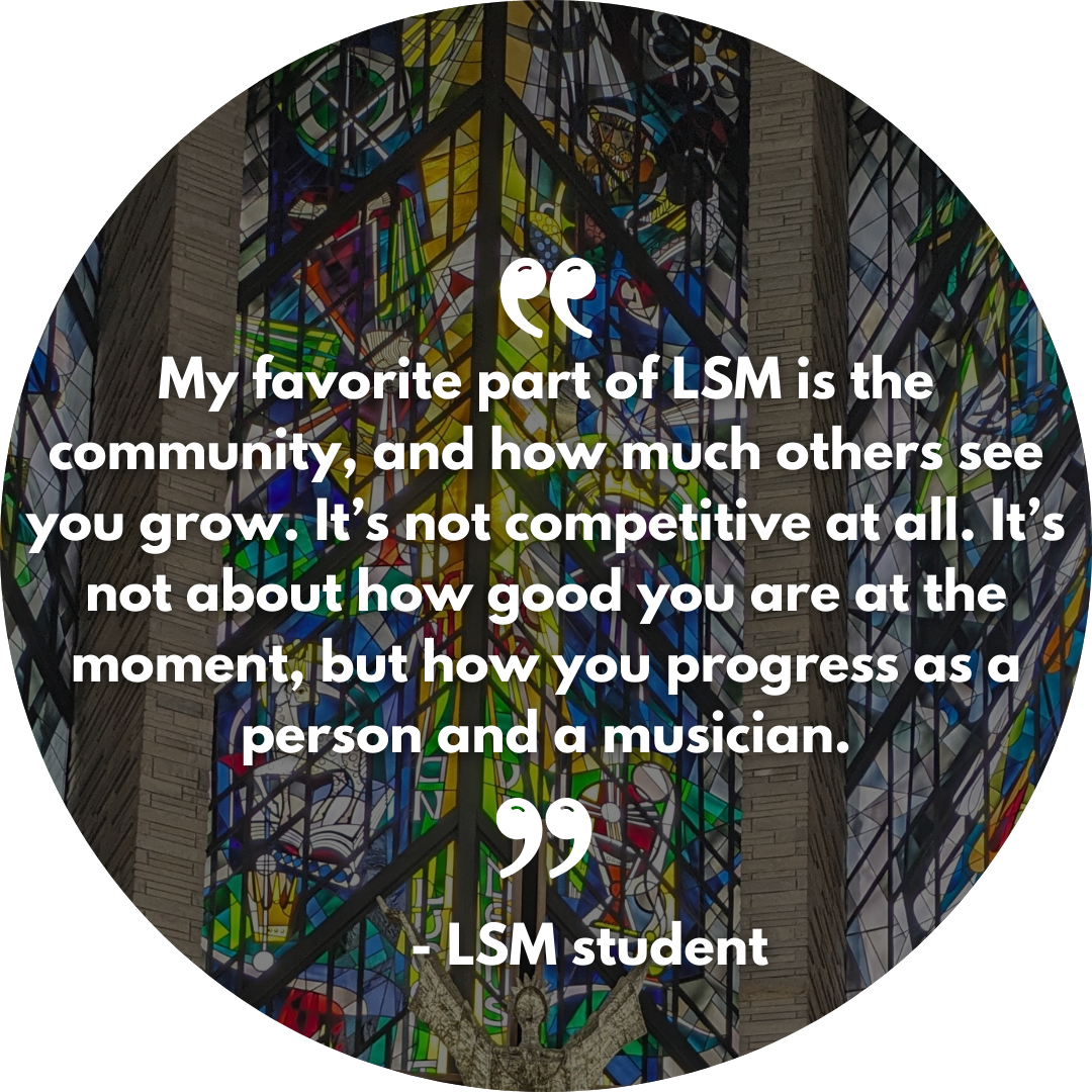 LSM Program Overview — LSM