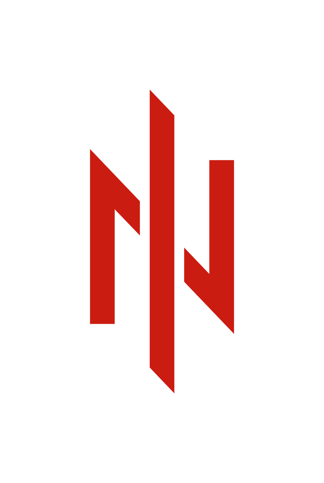 Nvn Logo
