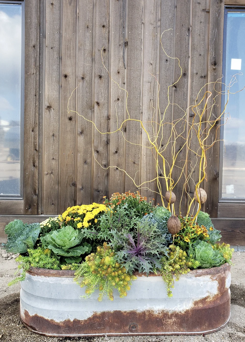 Garden Portfolio — Bee Wise Gardens