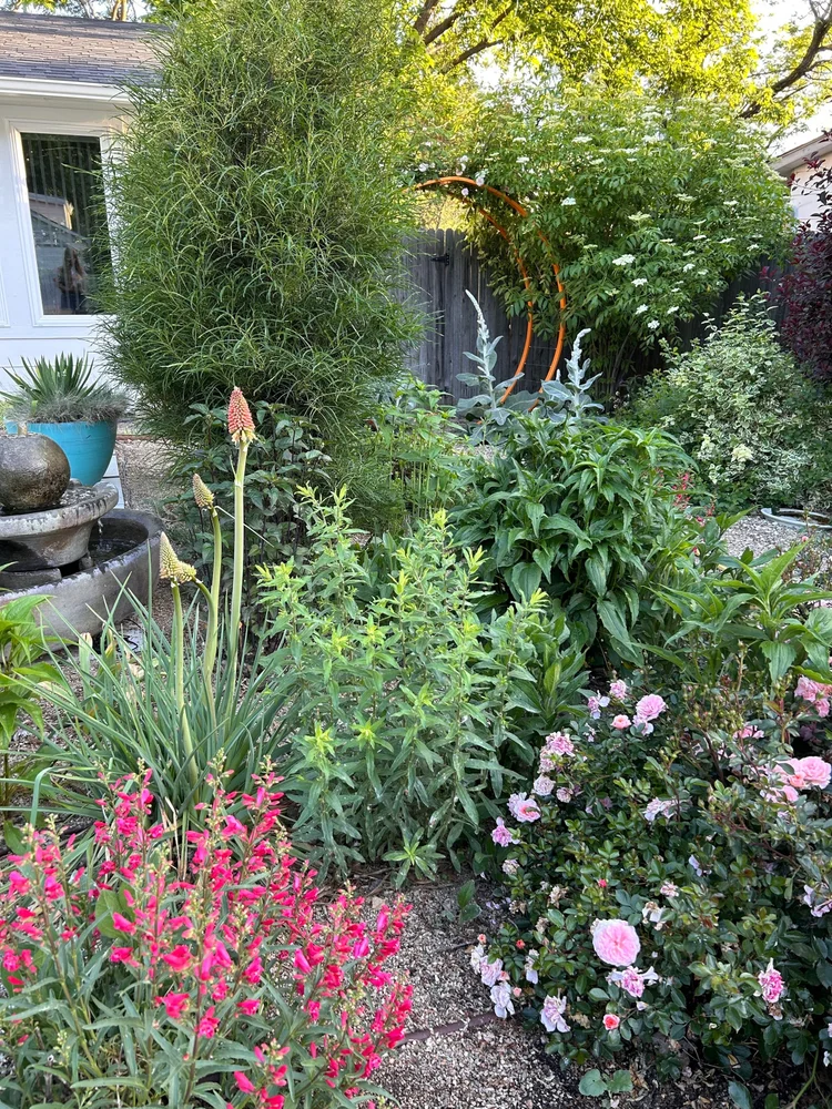 Garden Portfolio — Bee Wise Gardens