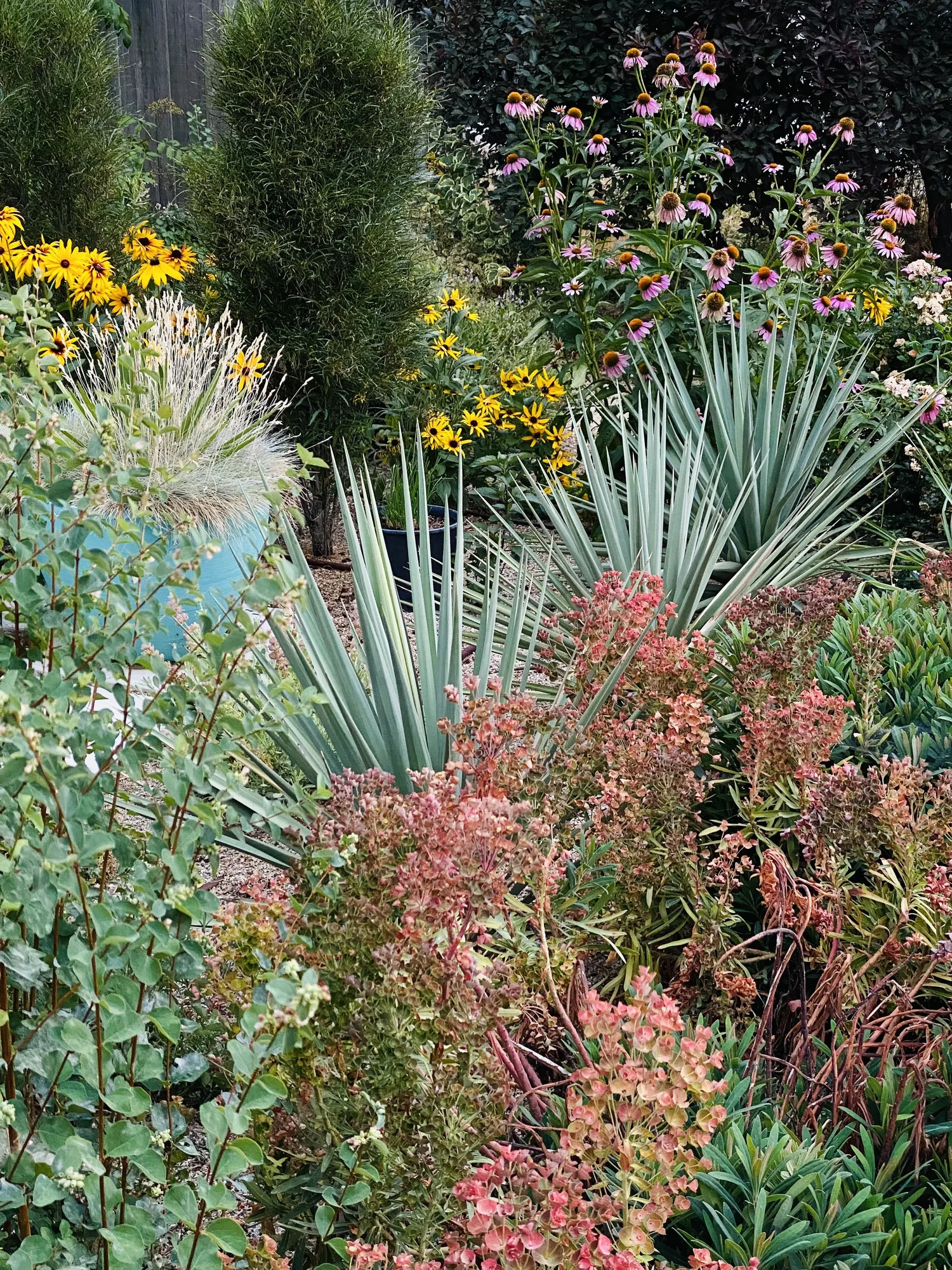 Garden Portfolio — Bee Wise Gardens