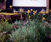 Ross Uebergang's Garden Design Project Gallery — Ross Uebergang ...