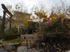 Japanese / Chinese Garden in Mitcham, Australia — Ross Uebergang ...