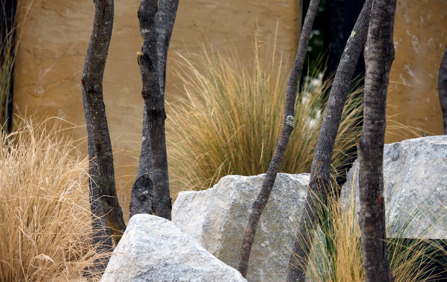 Ross Uebergang's Garden Design Project Gallery — Ross Uebergang ...