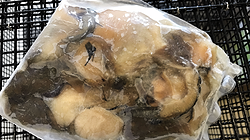 J&W Seafood —Live and Frozen Bait Selections