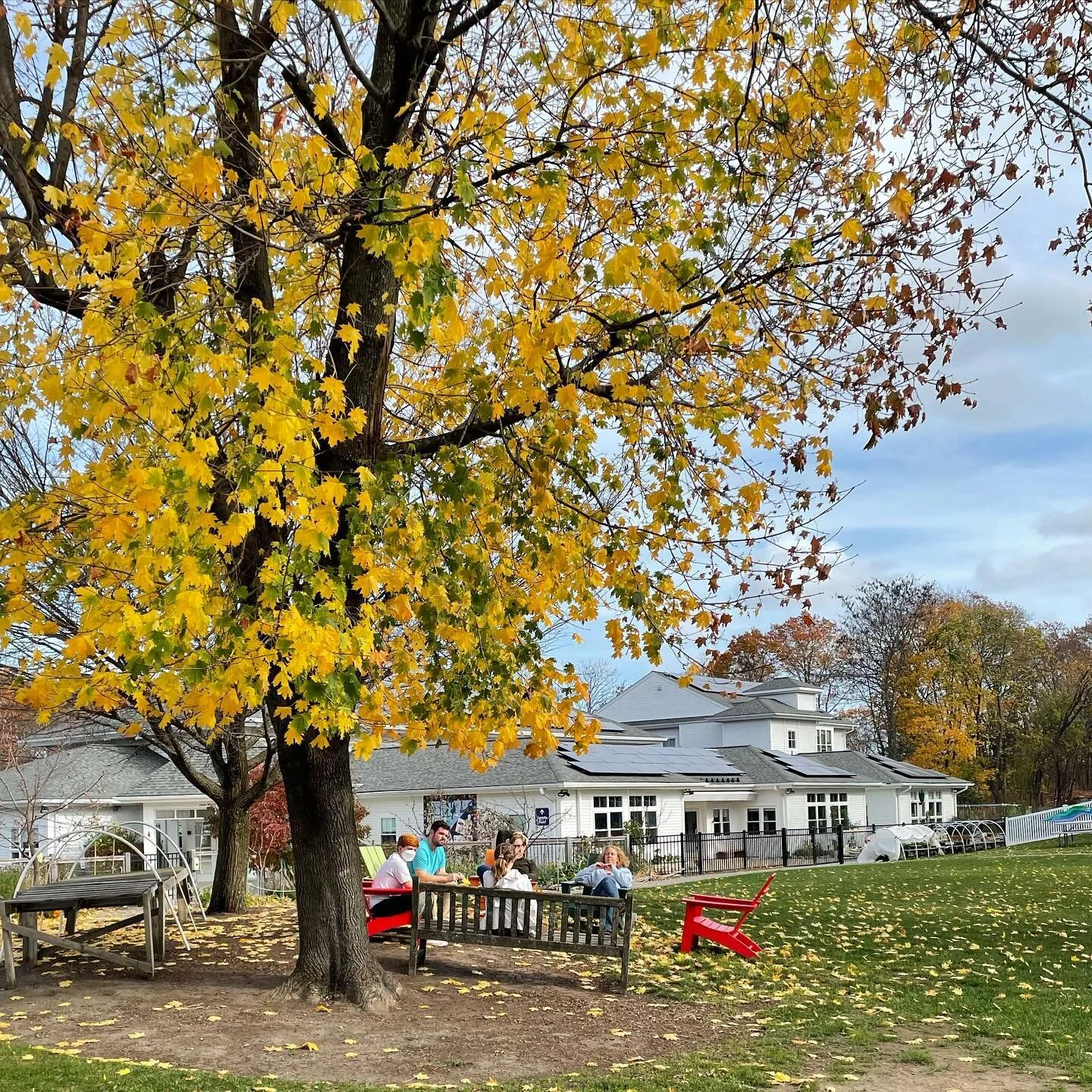 Montessori Elementary Teacher Training Collaborative