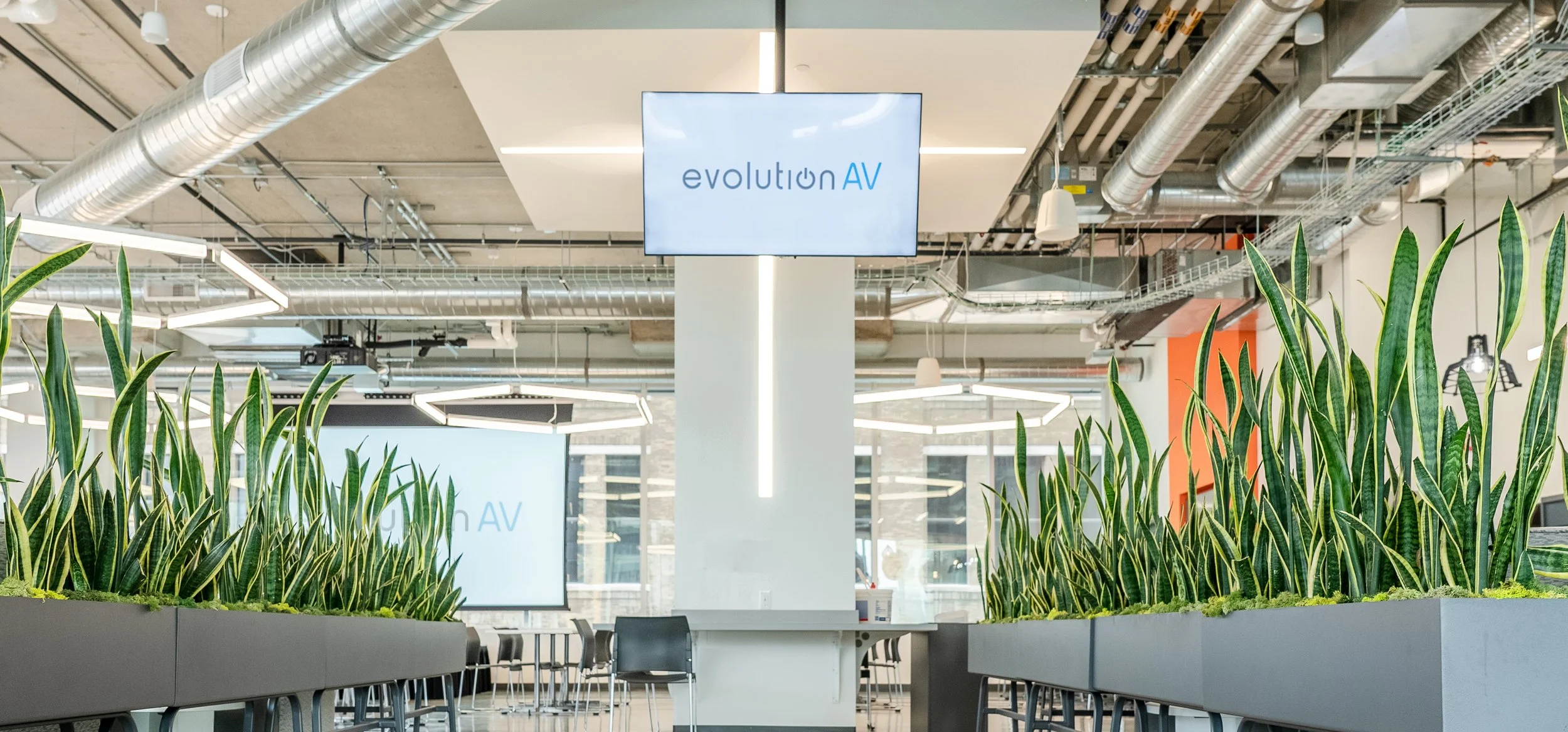 Architecture + Design — Evolution AV
