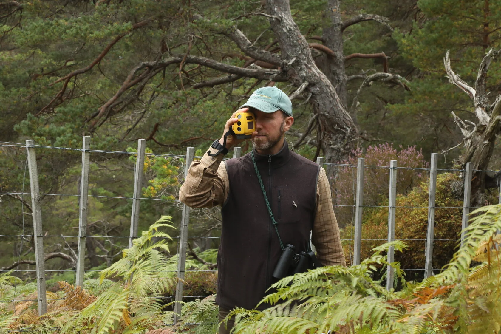 Thirty years of forest recovery — Dan Puplett