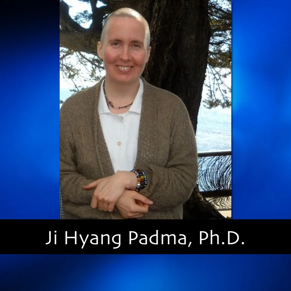 254 Buddhist Perspectives on Death, Afterlife and the Pandemic with Ji ...