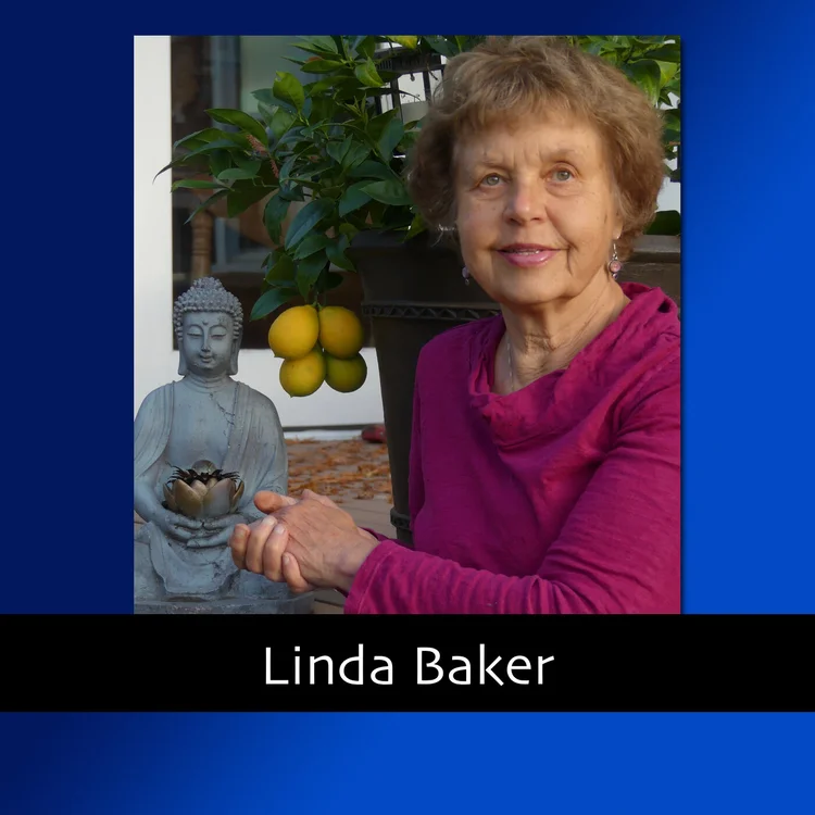 288 Understanding and Prospering in a COVID World with Linda Baker ...