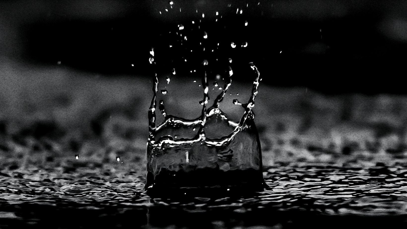 How To Optimize Your Brand’s Amazon Presence — Revel Interactive