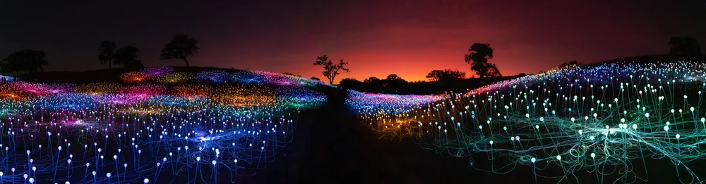 J. Frisk Film & Photo