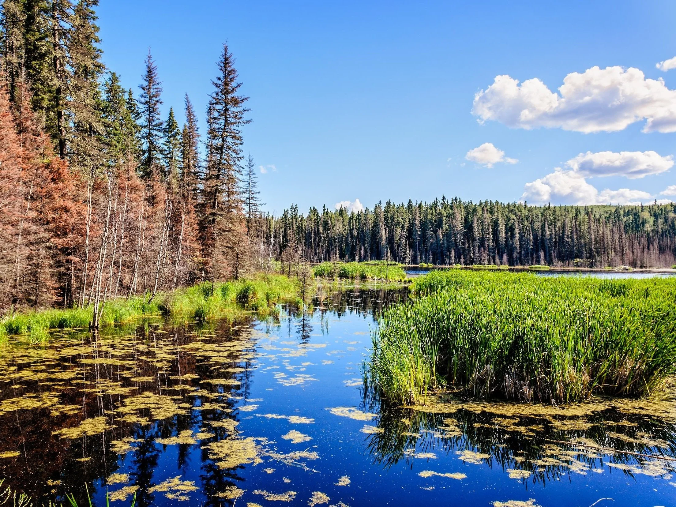 Canadian Prairies Interactive Maps. — Dots on Maps.