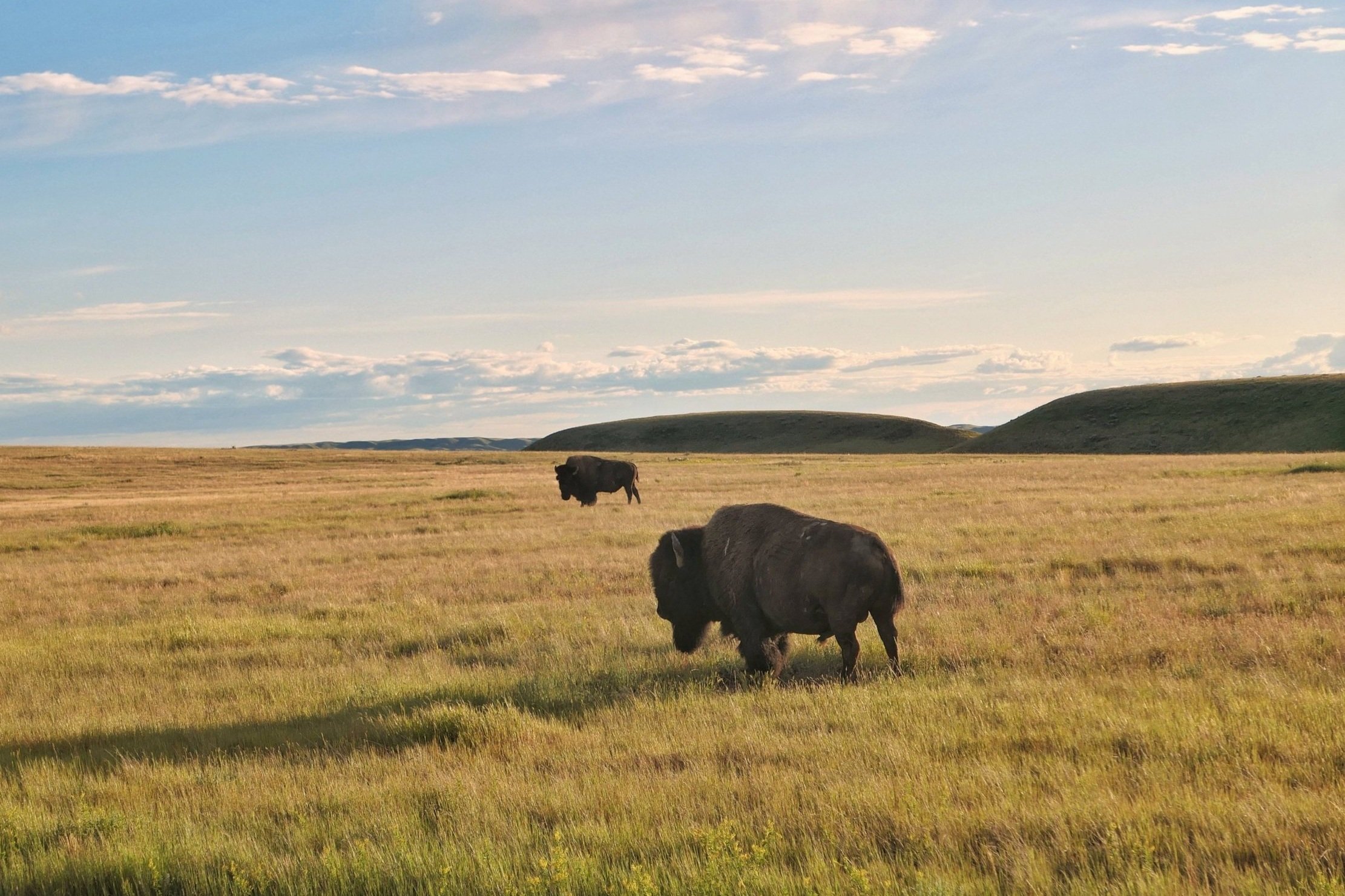 Canadian Prairies Interactive Maps. — Dots on Maps.