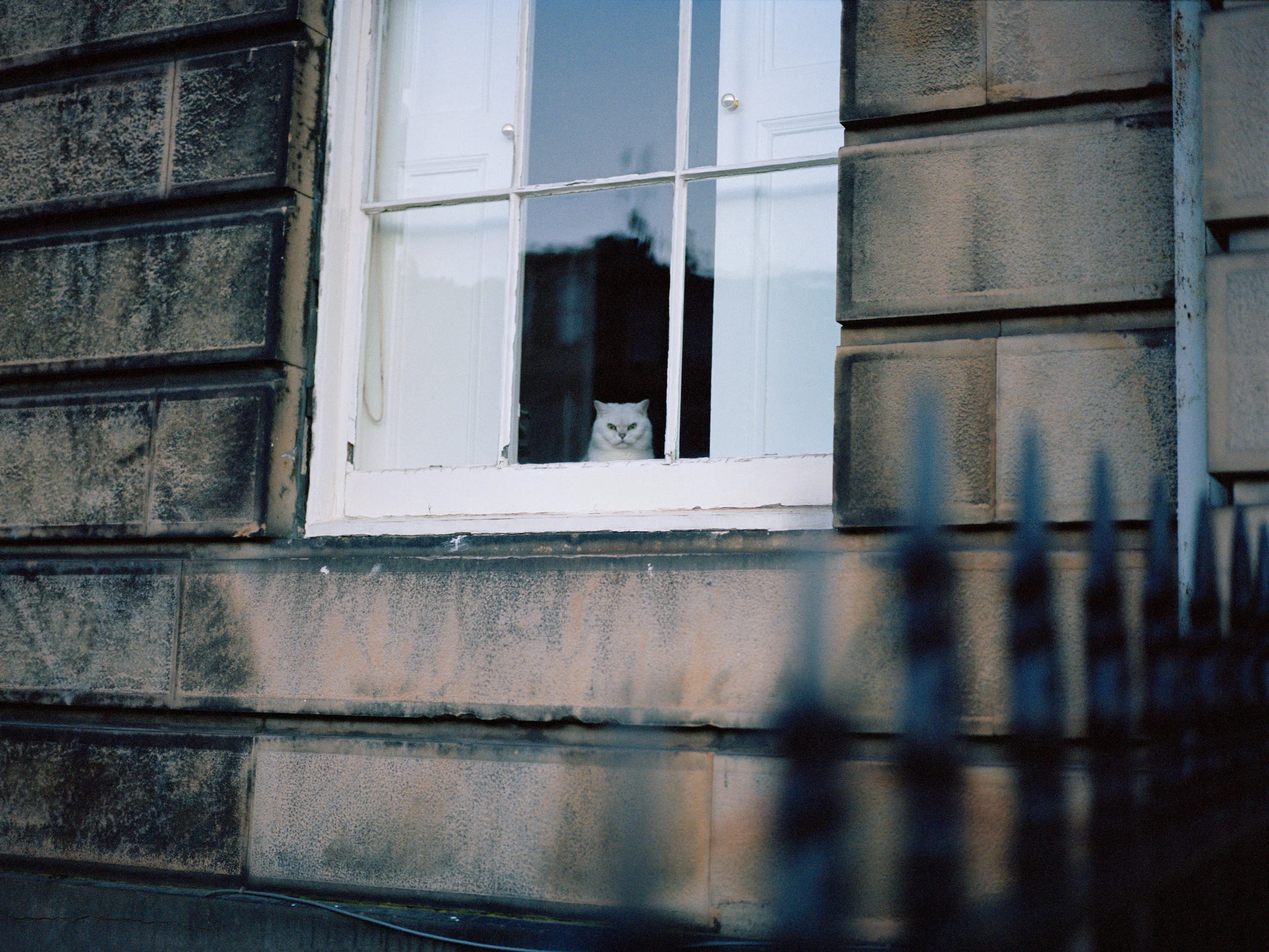 Odds and Ends — DAVID SEVERN