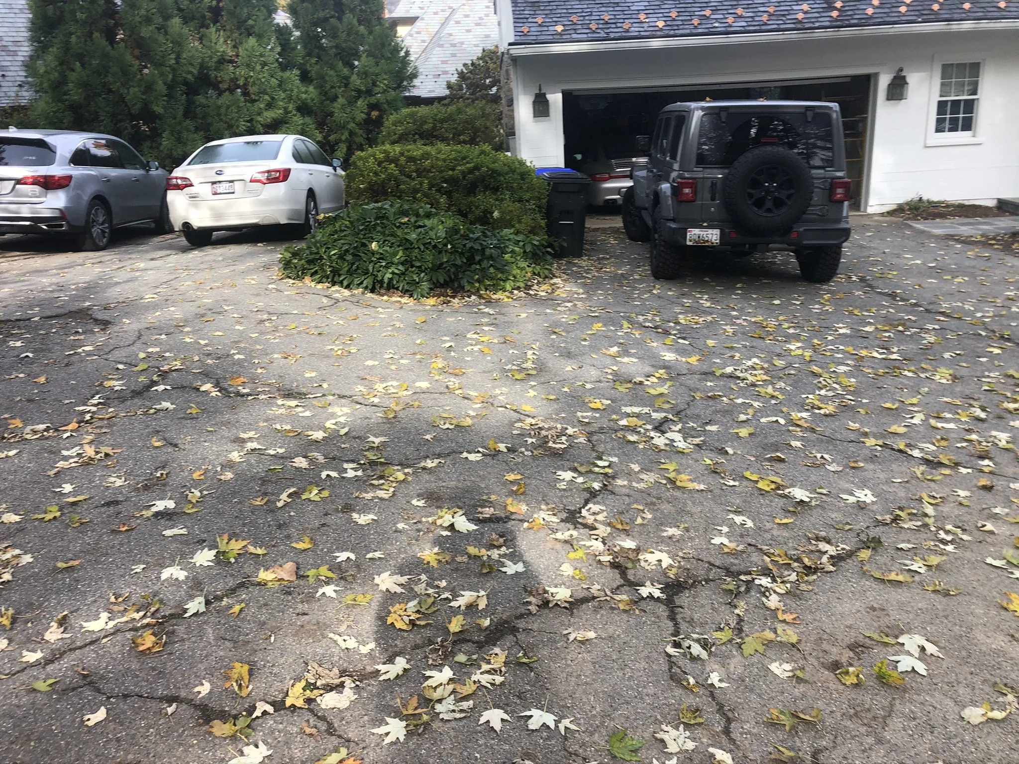 Installation — Shoemaker Landscapes