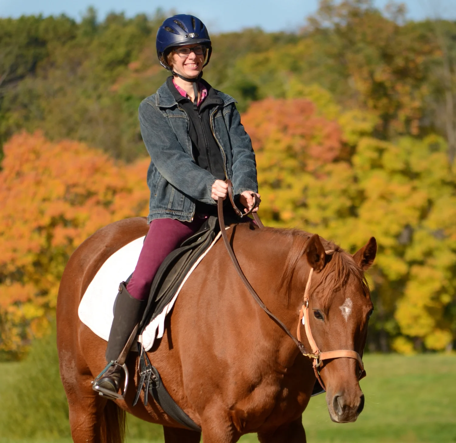 Benefits of Therapeutic Riding — Cheff Therapeutic Riding Center