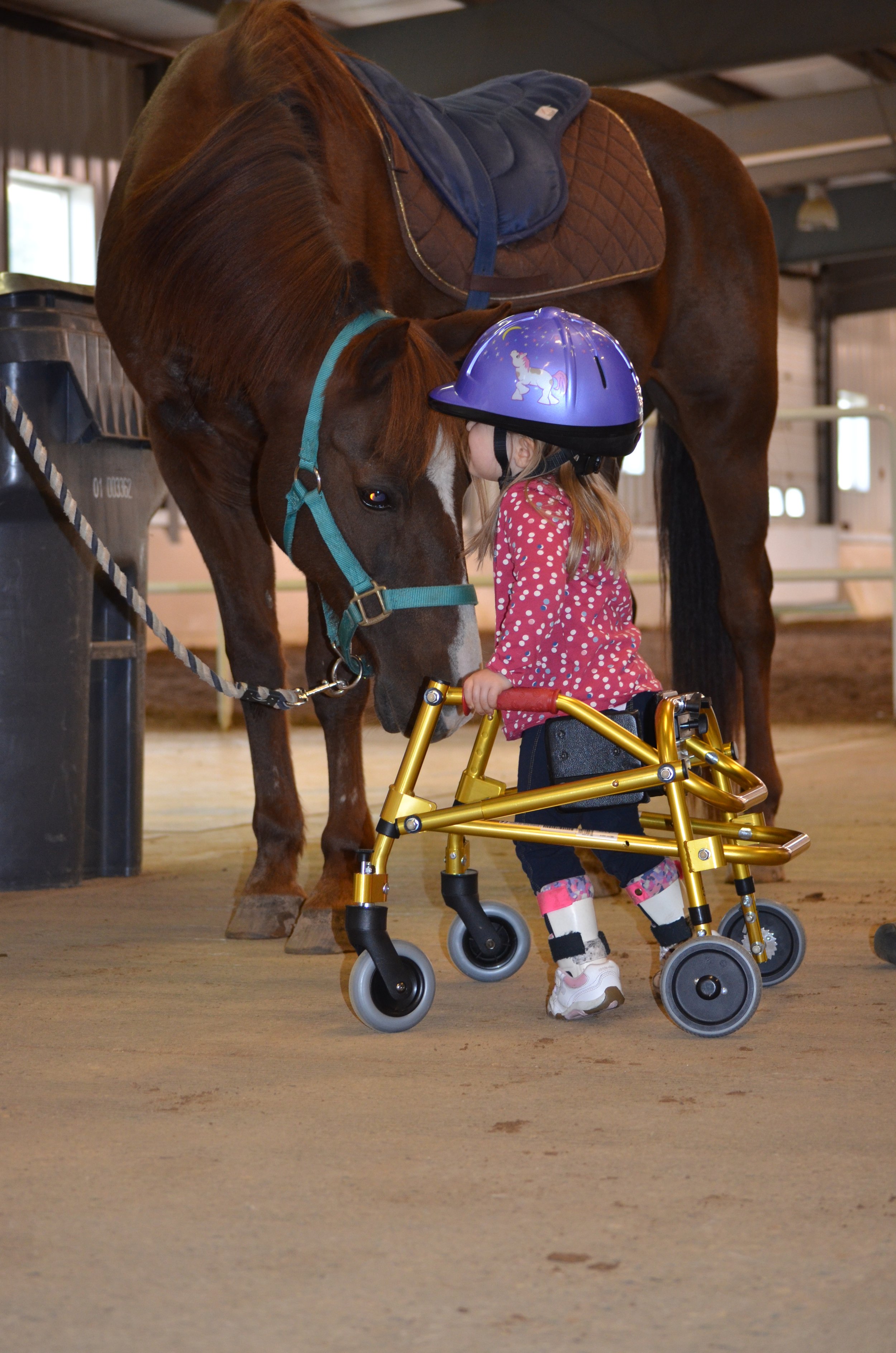 Cheff Therapeutic Riding Center