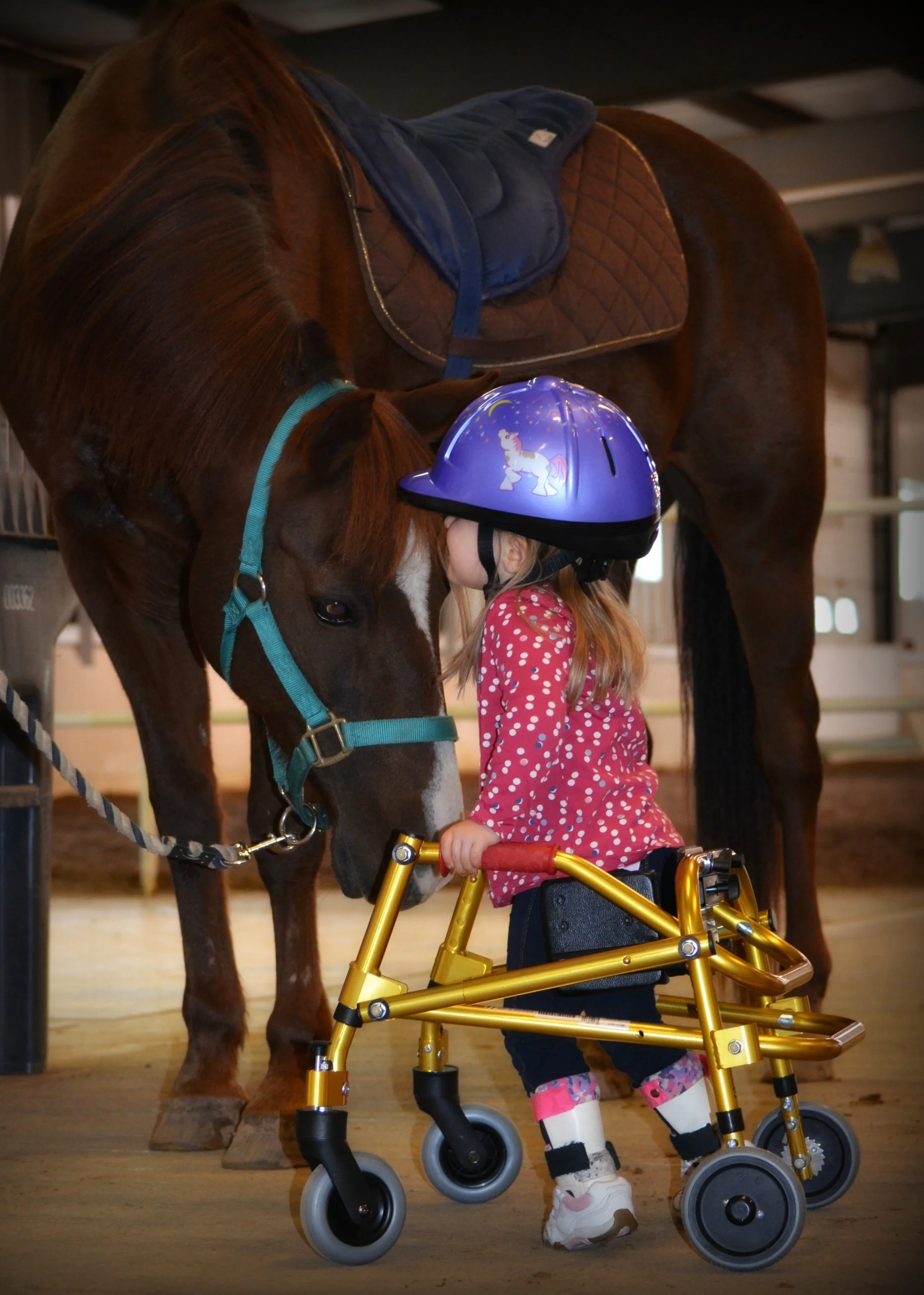 About Us — Cheff Therapeutic Riding Center