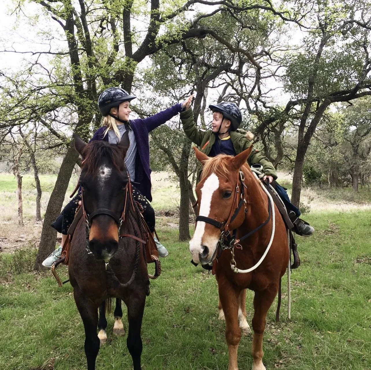 Horseback Trail Riding | Austin, TX | Canyon Lake, TX | Dripping ...