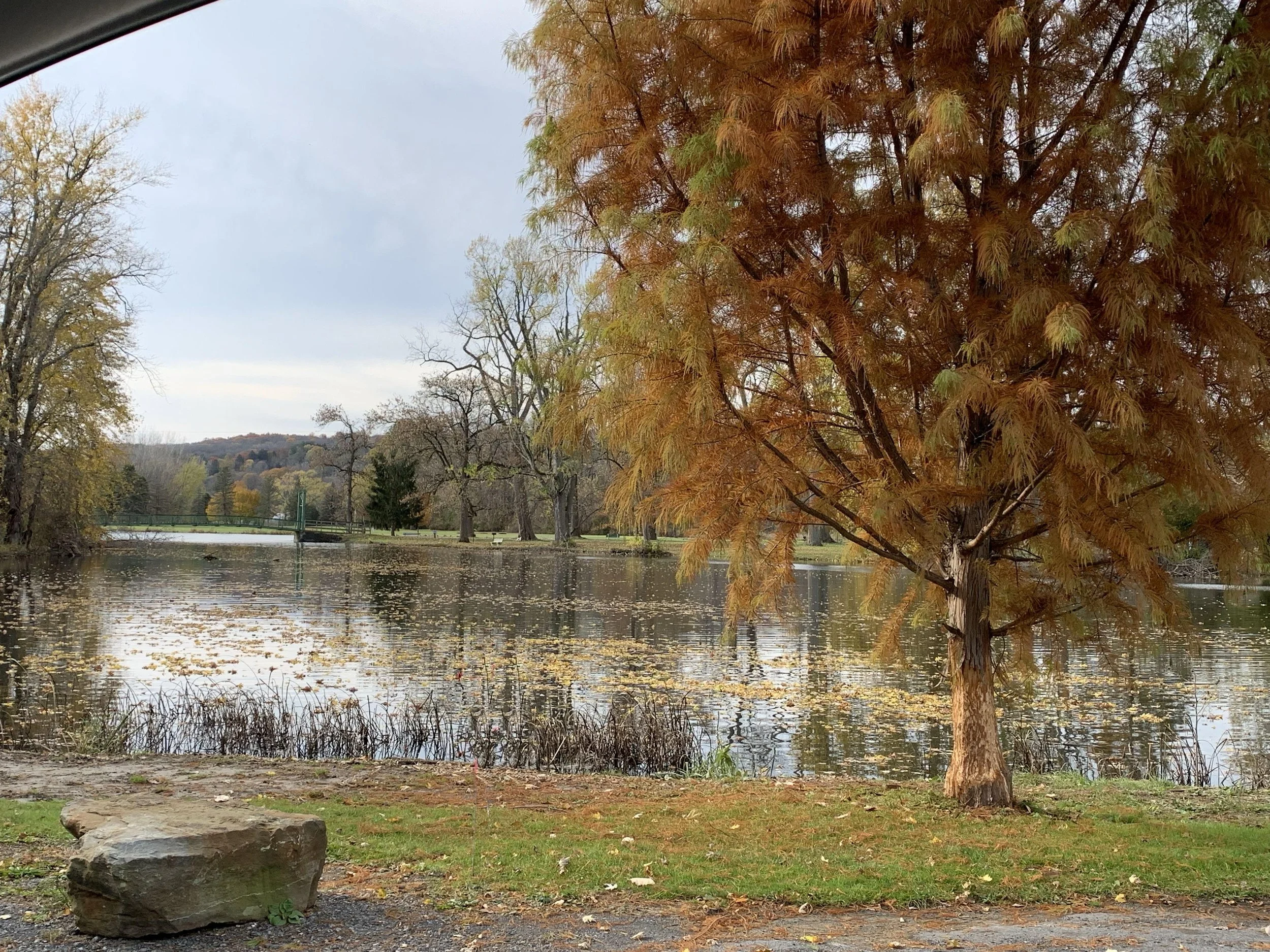 Visit — Friends of Stewart Park