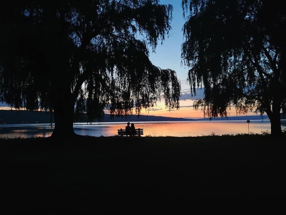 Visit — Friends of Stewart Park