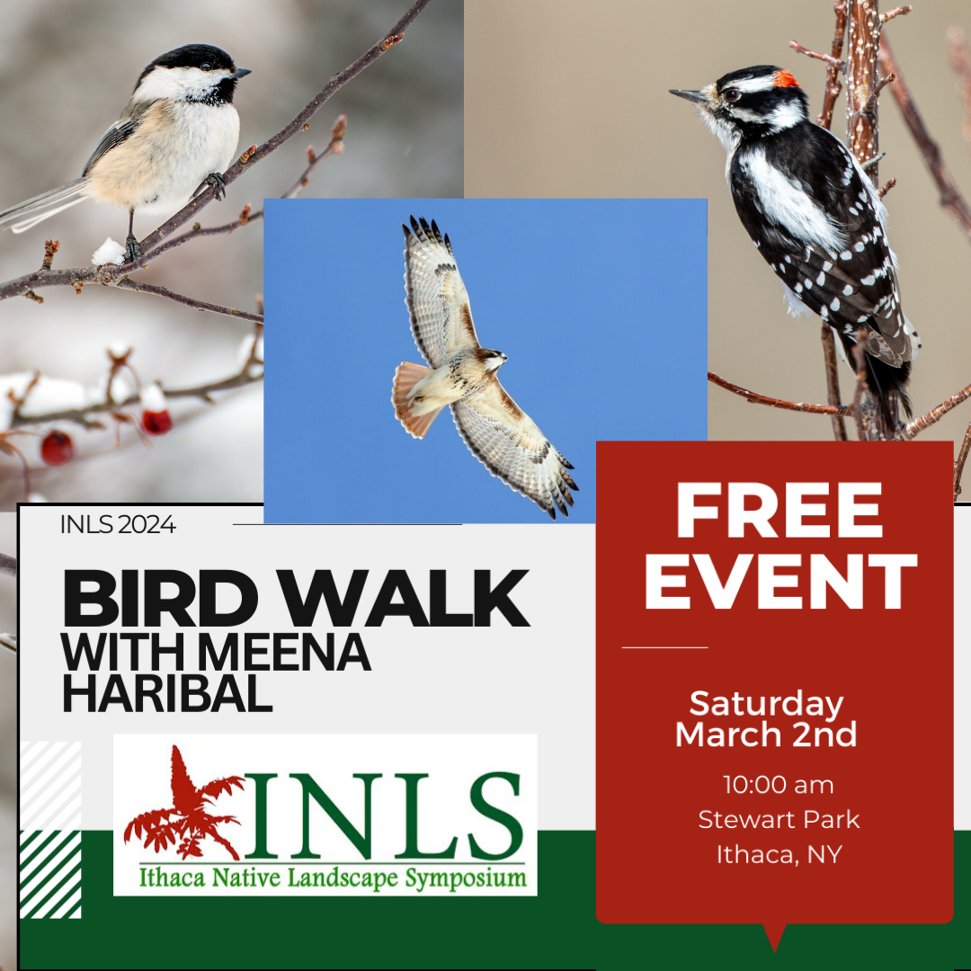 Guided Bird Walk In Stewart Park with Meena Haribal — Friends of ...