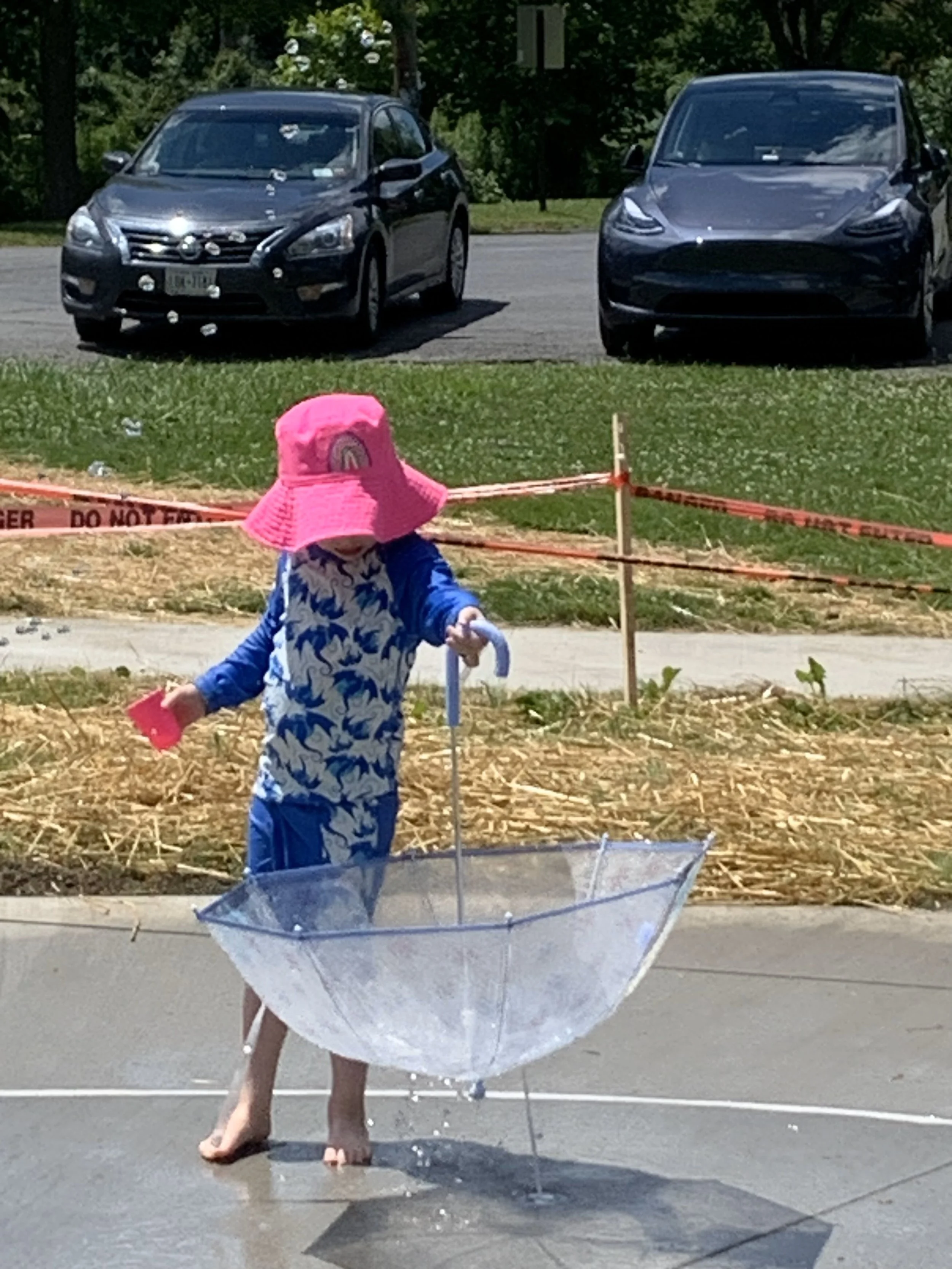 Splash — Friends of Stewart Park