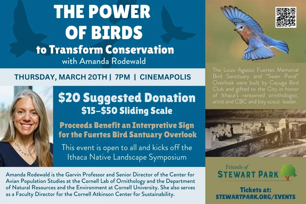 Events — Friends of Stewart Park