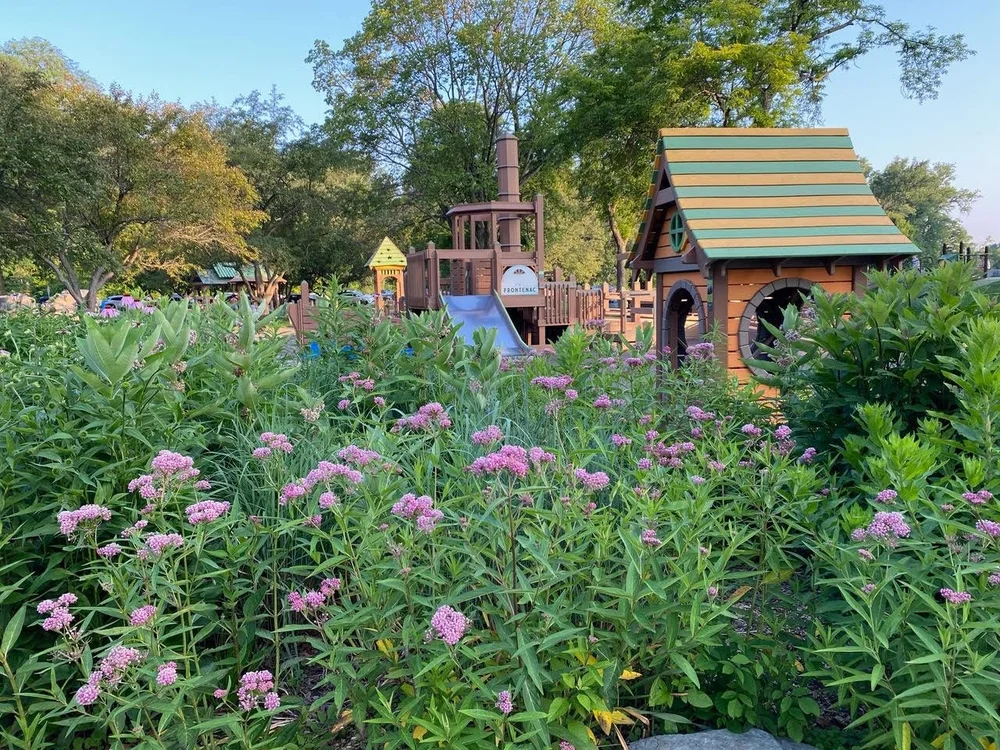 Pollinator-Pathway — Friends of Stewart Park