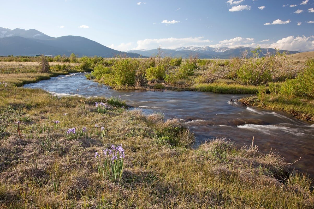 Conservation: What, How, Why — Keep It Colorado