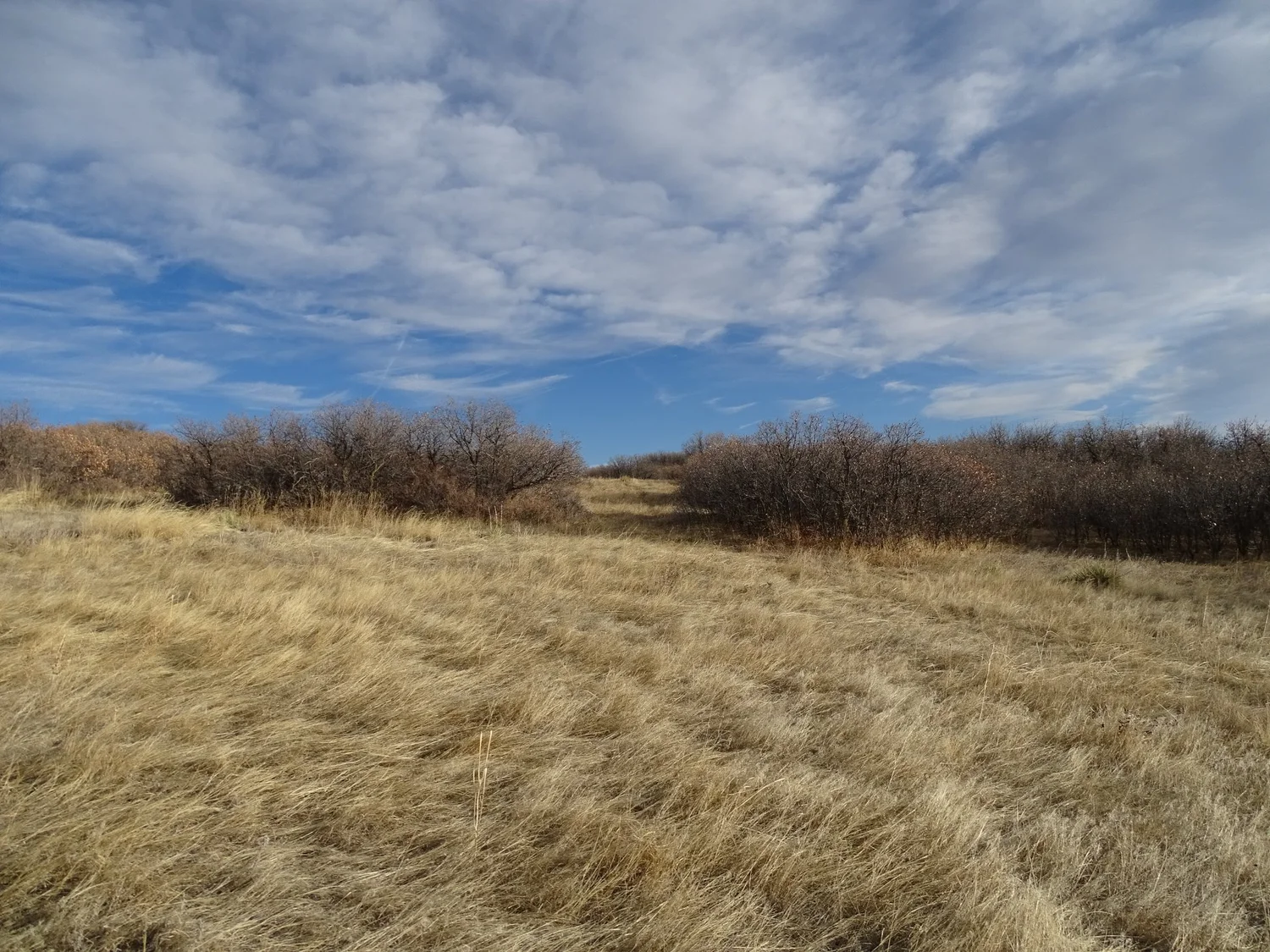 Conservation: What, How, Why — Keep It Colorado