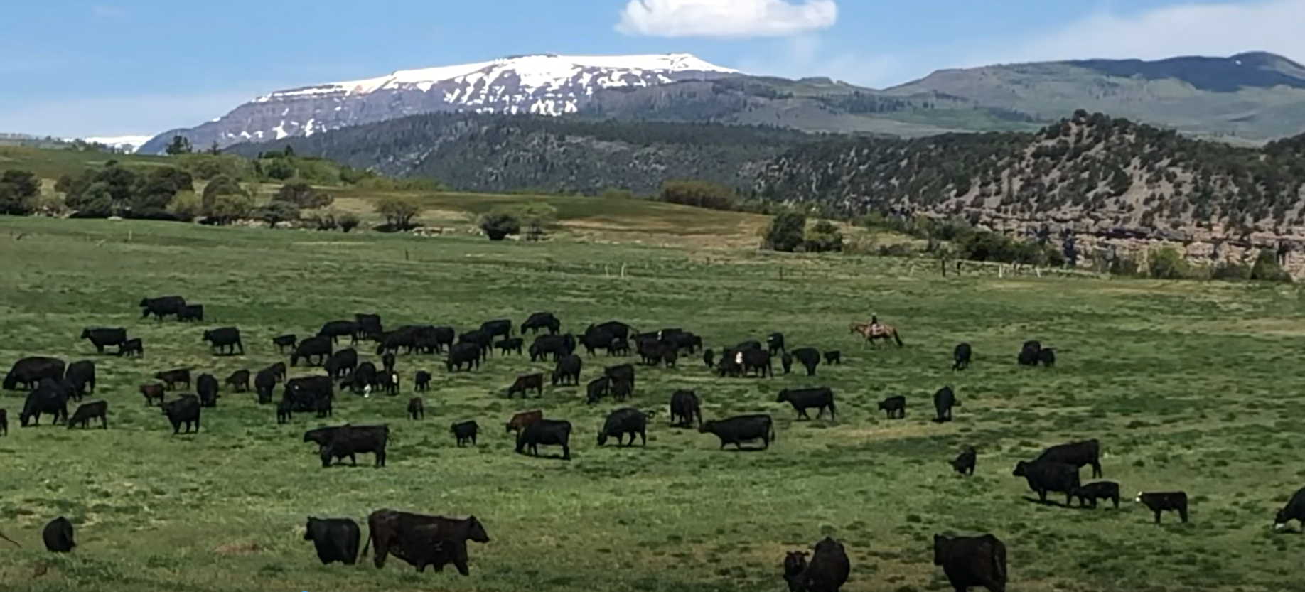 Gates Ranch: Conserving a Legacy and a Way of life — Keep It Colorado