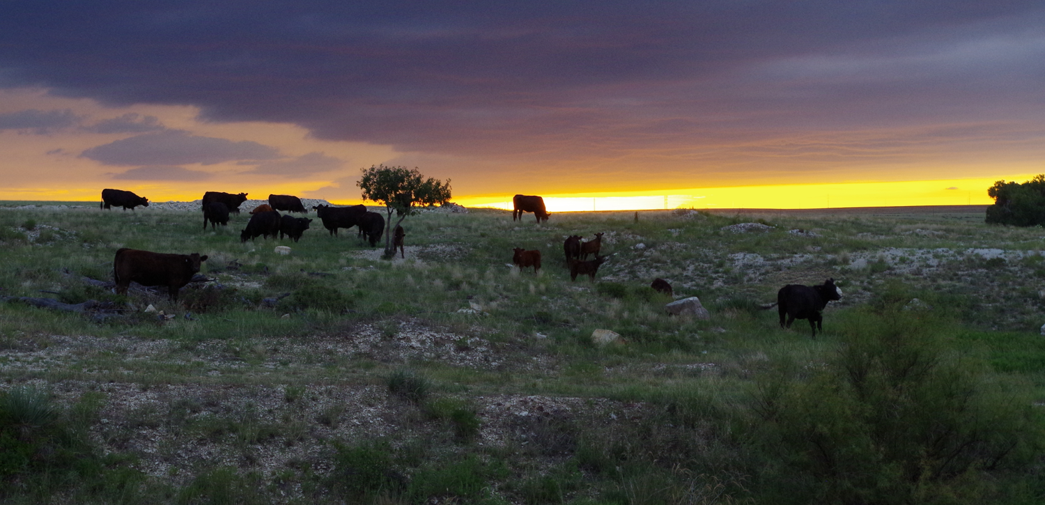 May Ranch: A Sustainable Way of Life — Keep It Colorado
