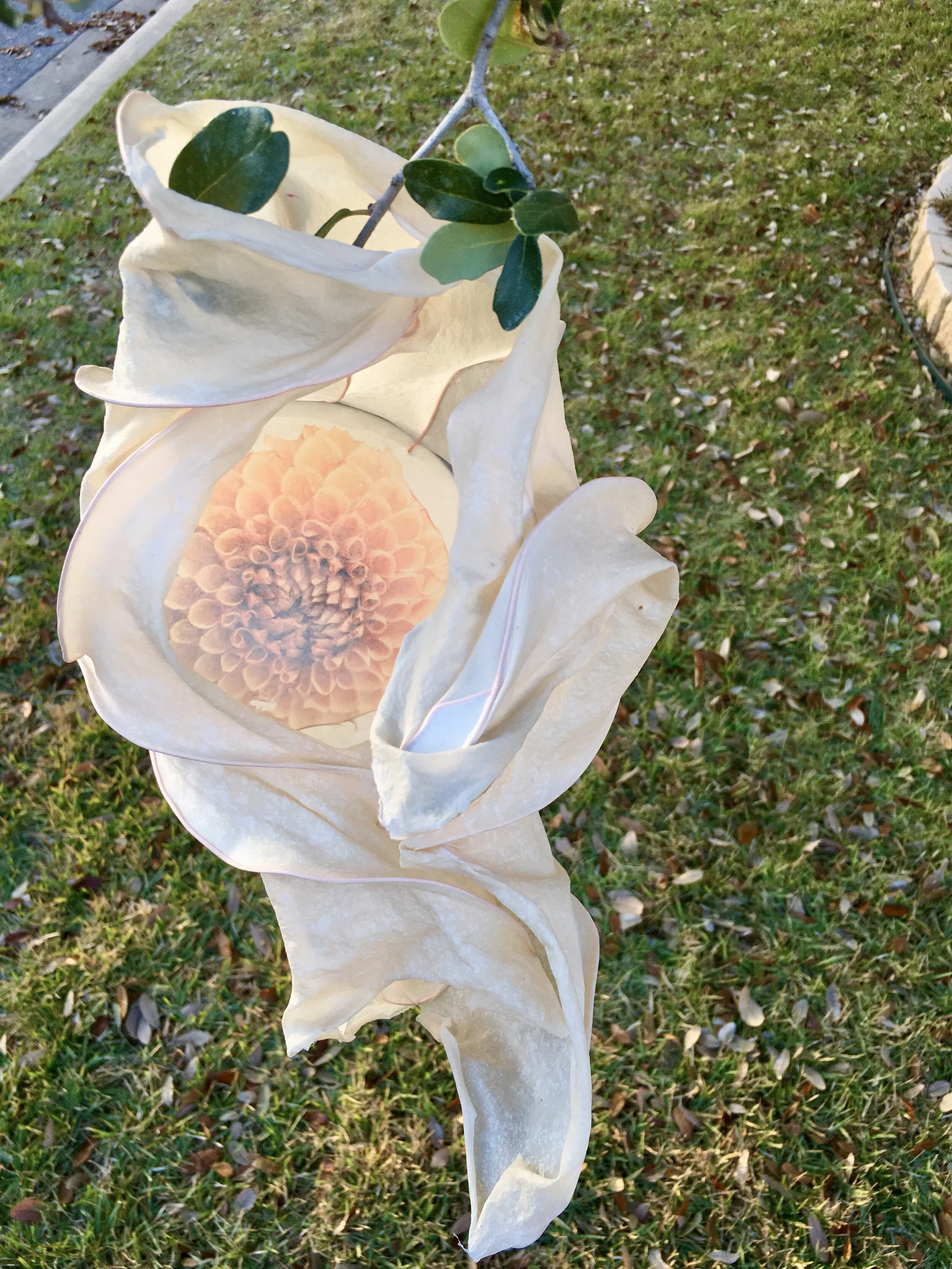 Blog — Lata Gedala