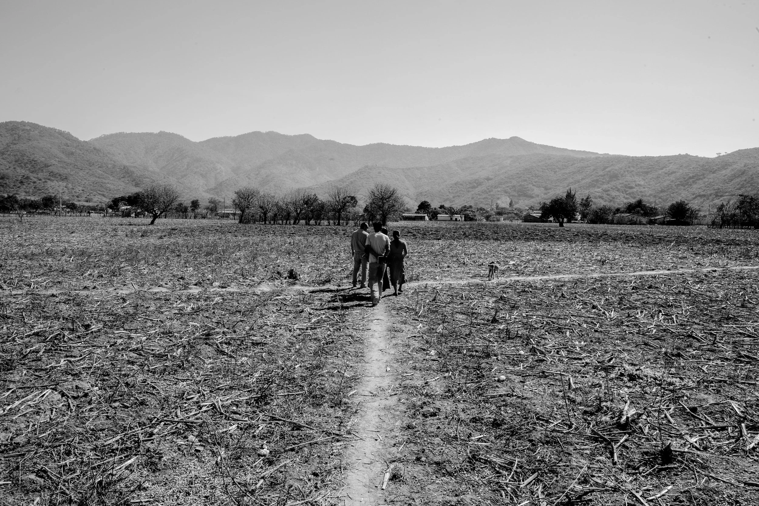 Drought no more Part II: Central America's Dry Corridor — CARLOS CL