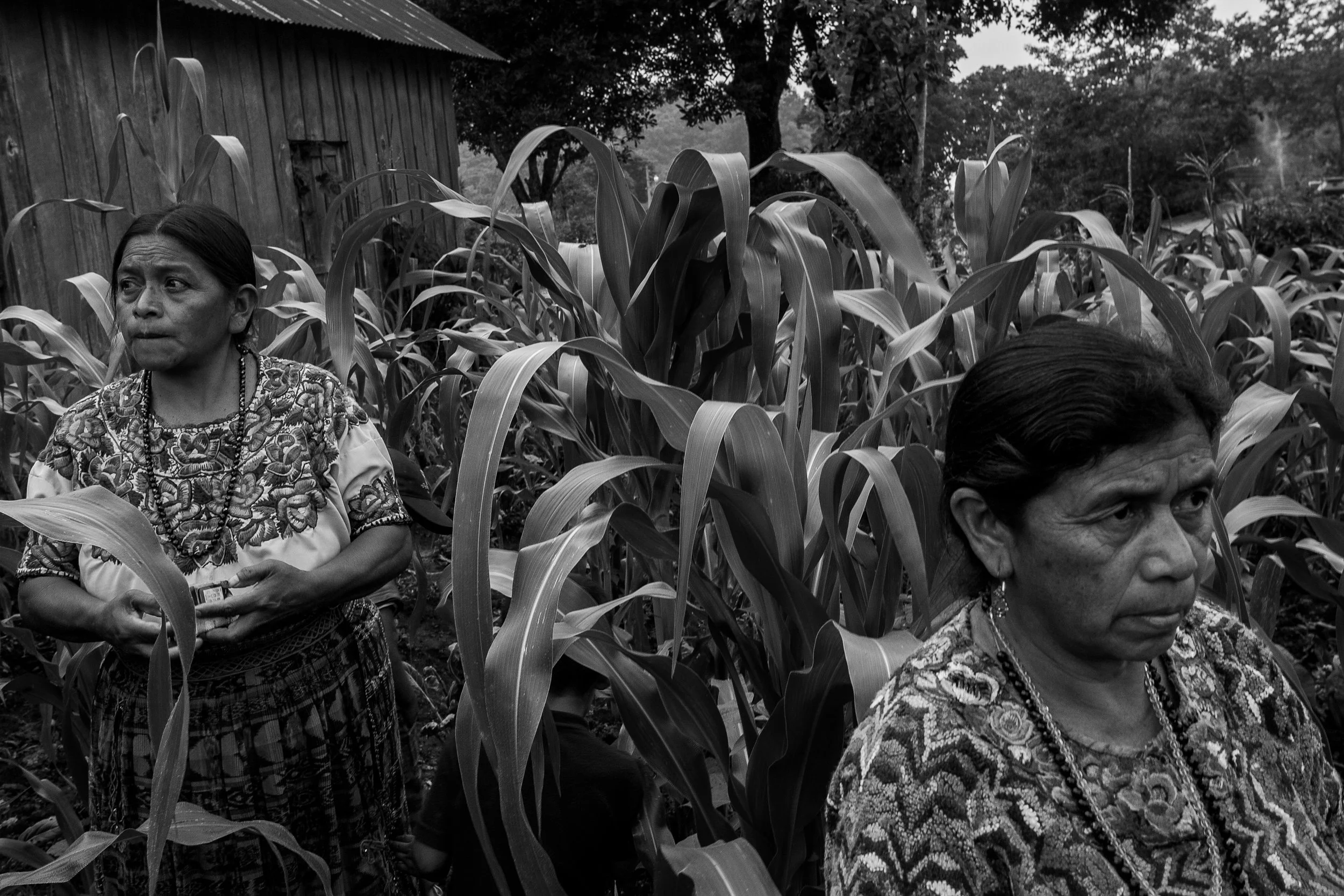 Drought no more Part II: Central America's Dry Corridor — CARLOS CL