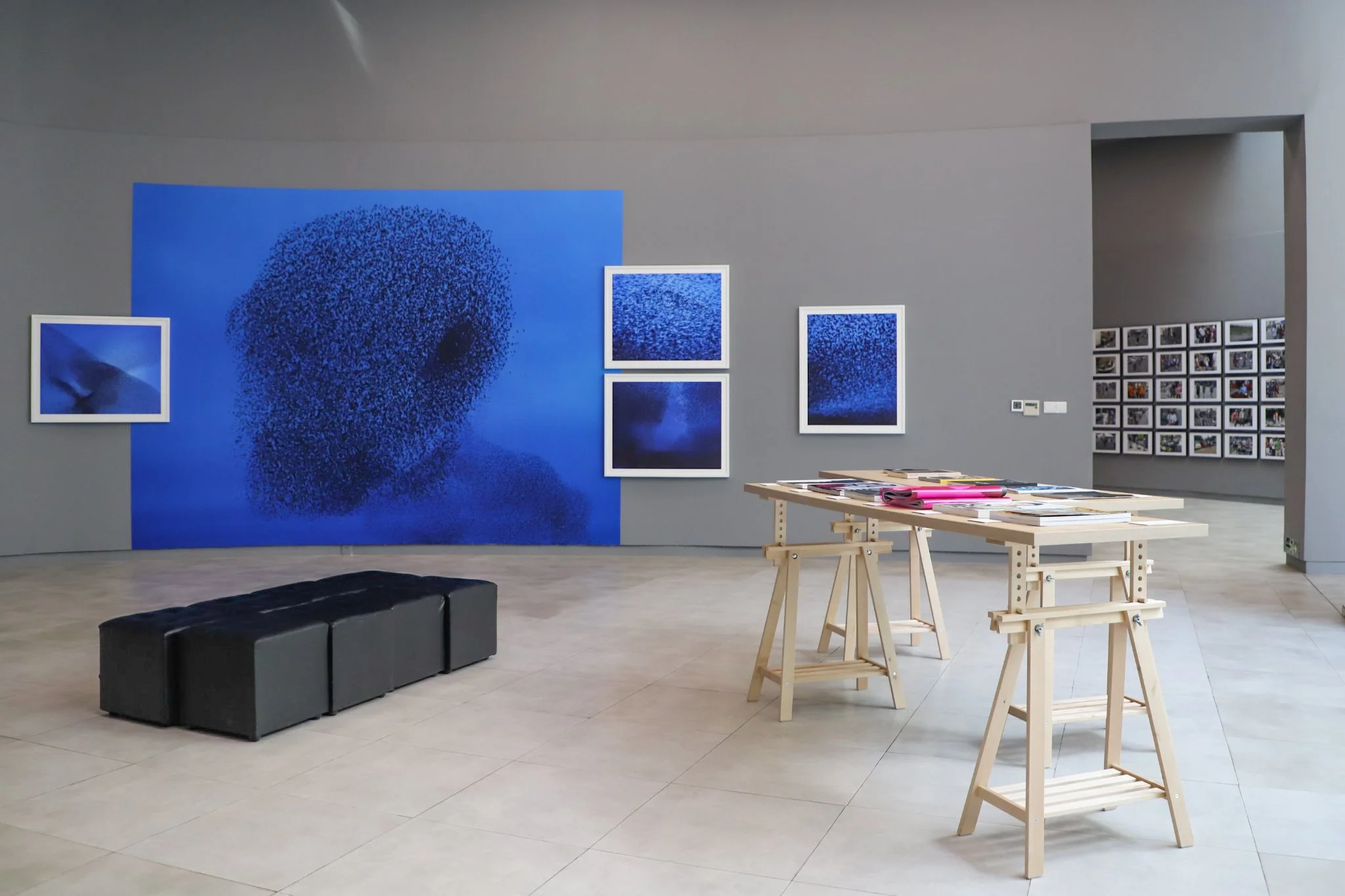 Murmurations — Johannes Bosgra