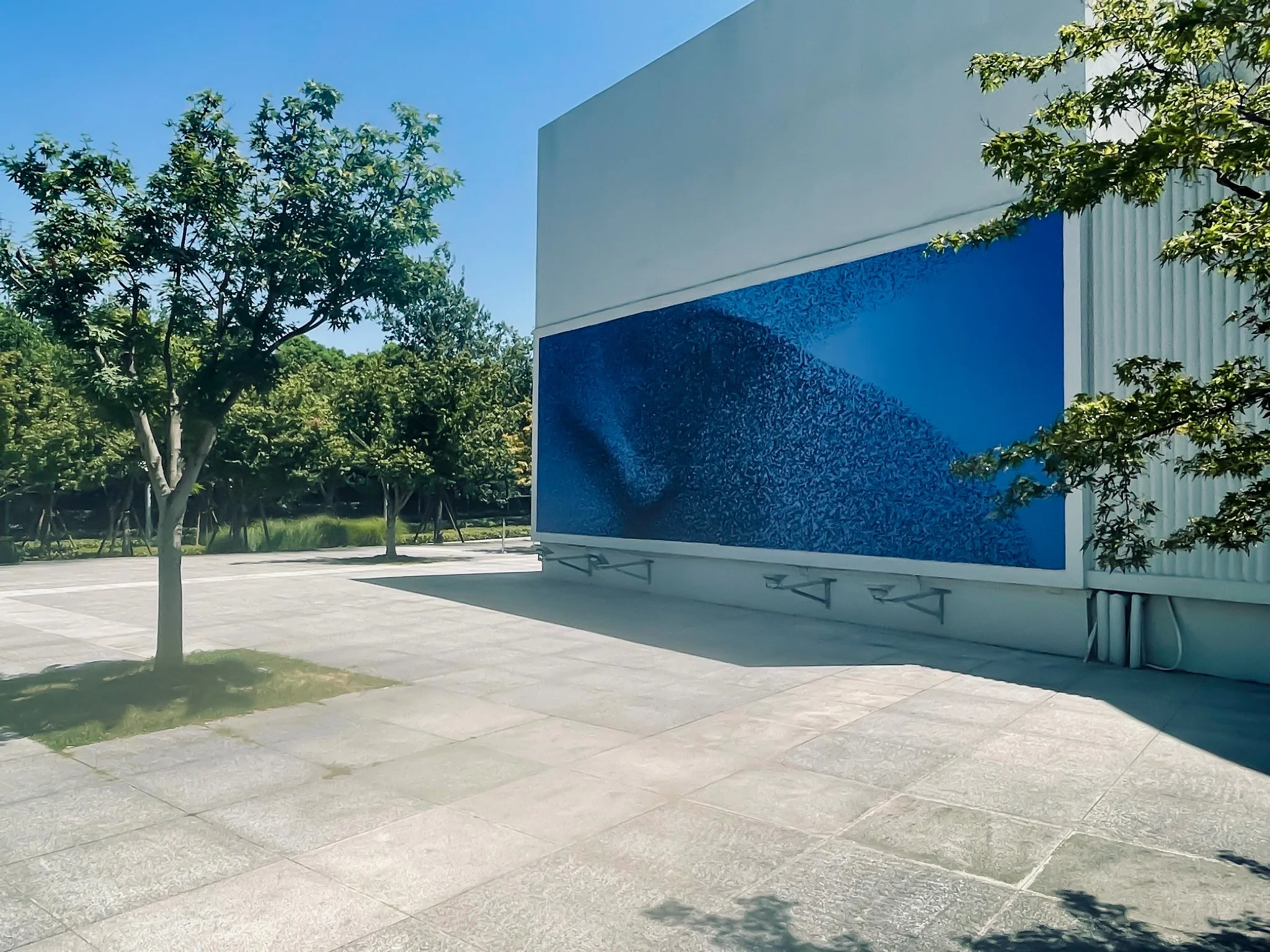 Murmurations — Johannes Bosgra