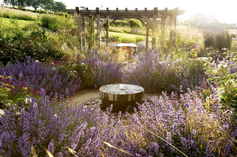 Country Landscape & Garden Design — Garden Designer | Dorset | Somerset ...