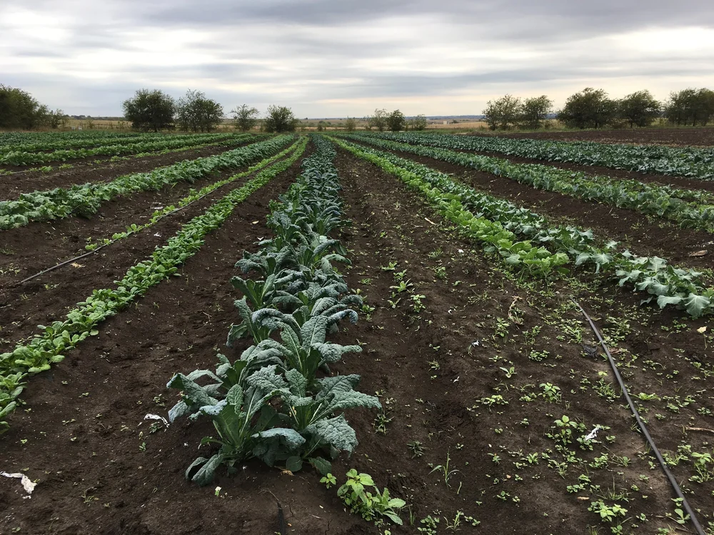 D-Bar Farm and Ranch
