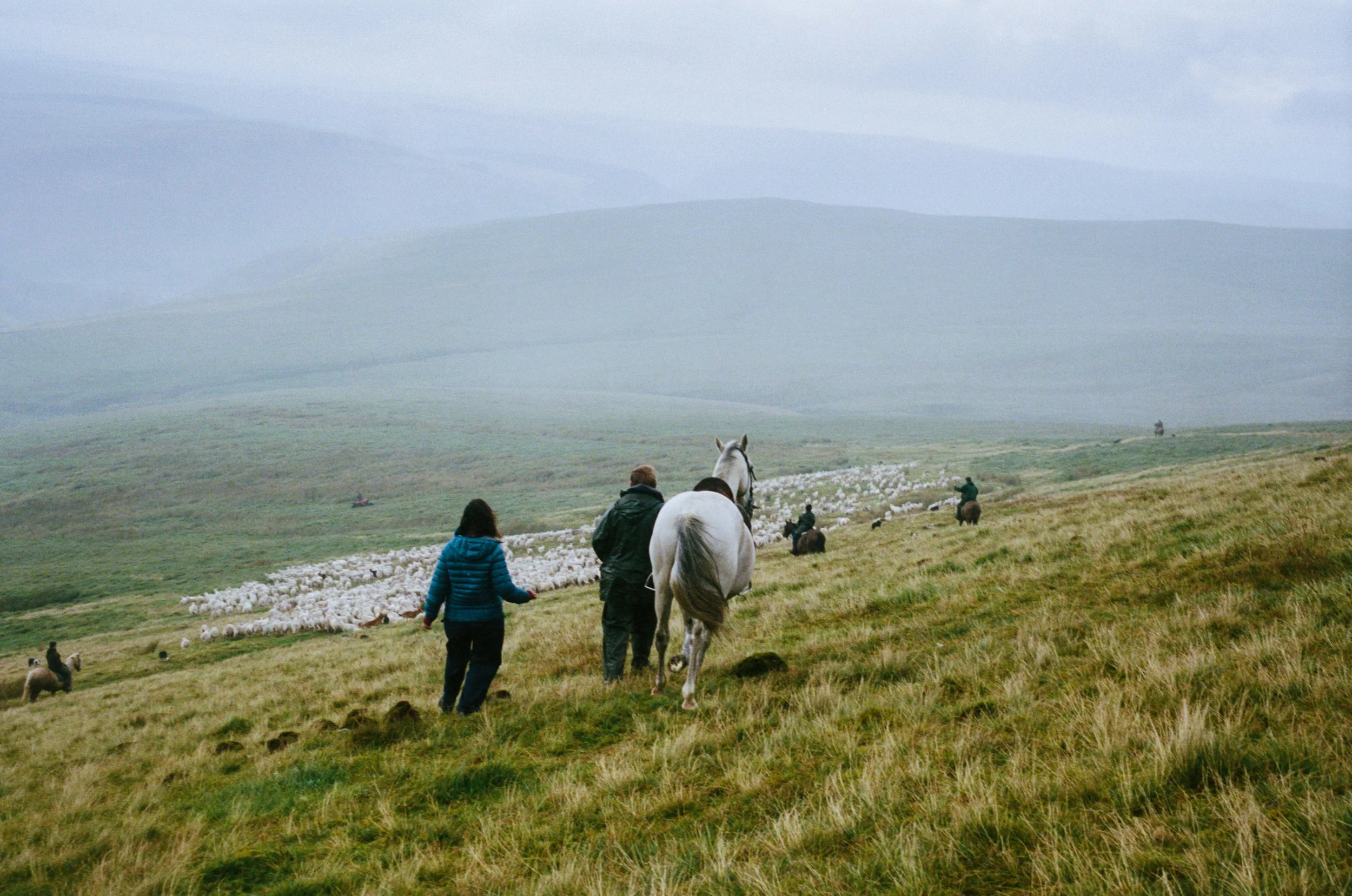 STAYING (AROS MAE) — SIXTEEN FILMS