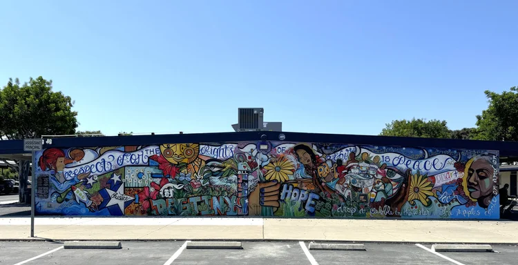50 States of Peace - Peace Walls — CITYarts